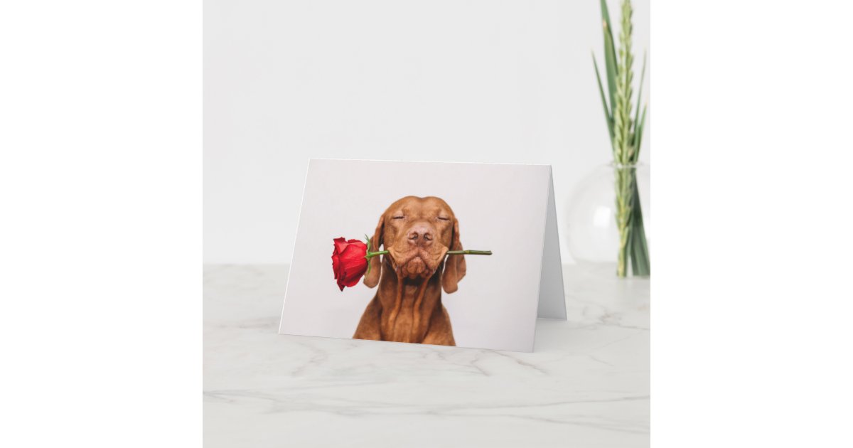 Cute Dog Valentine's Day Card | Zazzle