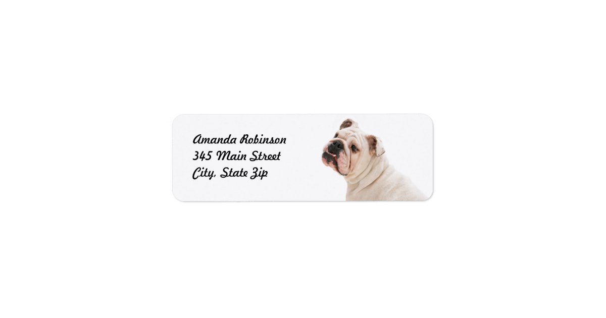 Cute dog white bulldog label | Zazzle