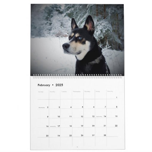 Cute Dogs Calendar | Zazzle