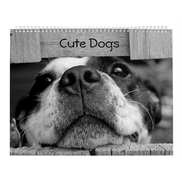 Cute Dogs Calendar | Zazzle