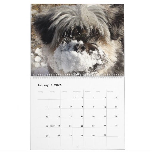 Cute Dogs Calendar | Zazzle