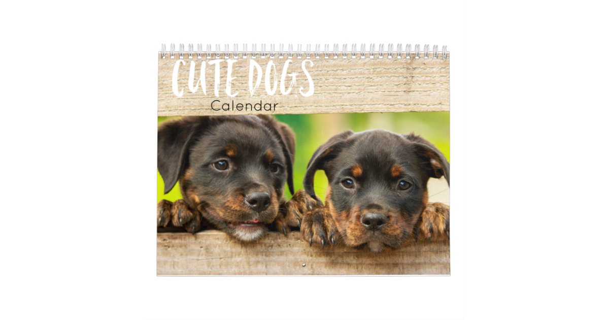 cute dogs calendar 2023 | Zazzle