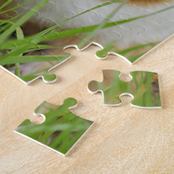Cute Domestic Guinea Pig Jigsaw Puzzle | Zazzle