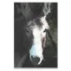 CUTE DONKEY TISSUE PAPER | Zazzle