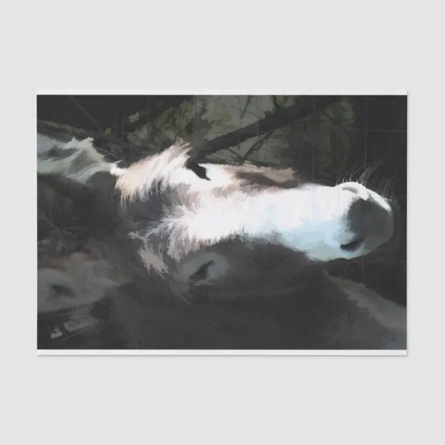 CUTE DONKEY TISSUE PAPER | Zazzle