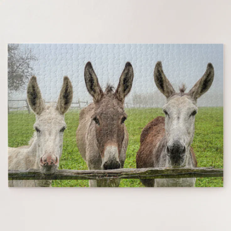 Cute Donkeys In Misty Paddock Animals Nature Jigsaw Puzzle | Zazzle