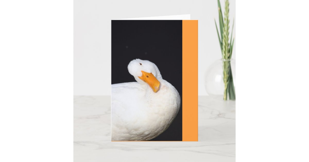Cute Duck Card | Zazzle.com