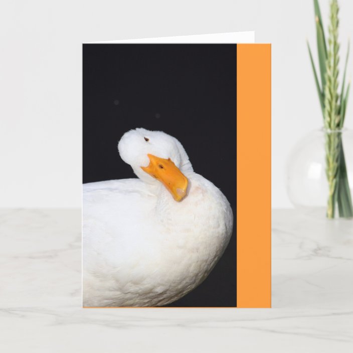 Cute Duck Card | Zazzle.com