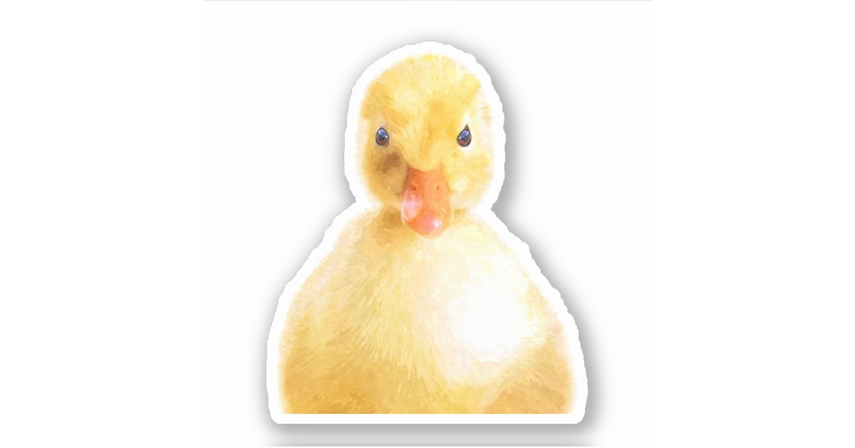 Cute Duckling Portrait Sticker | Zazzle