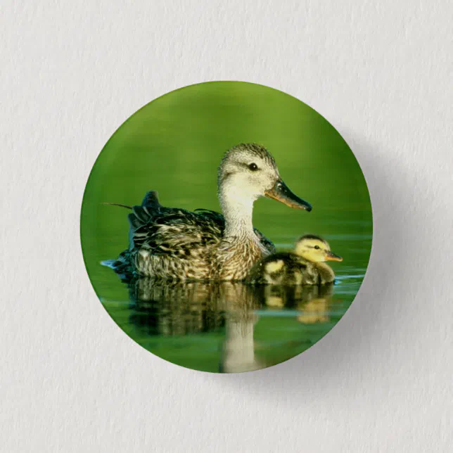 Cute Ducks Button | Zazzle