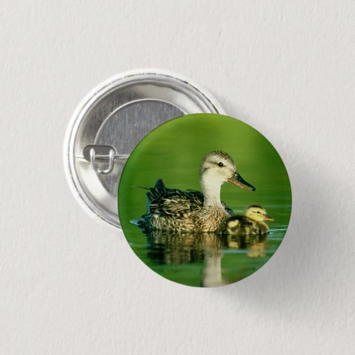 Cute Ducks Button | Zazzle