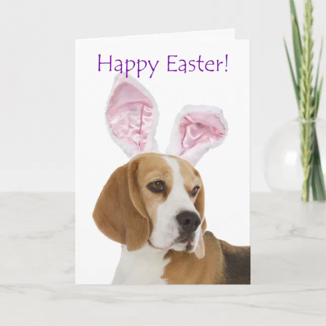 Cute Easter Beagle Card | Zazzle