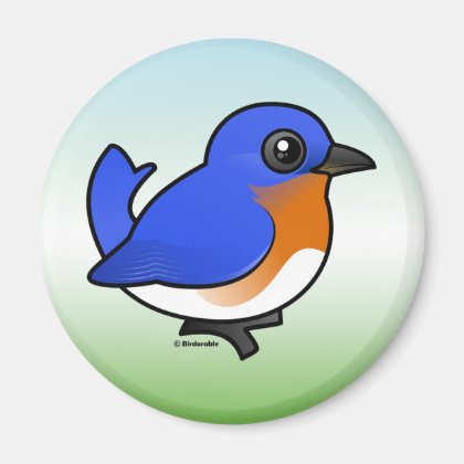 Eastern Bluebird Coloring Page