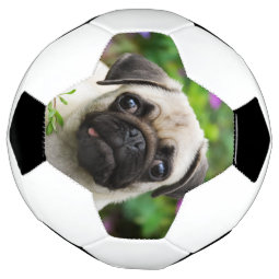 Cute fawn pug puppy soccer ball | Zazzle
