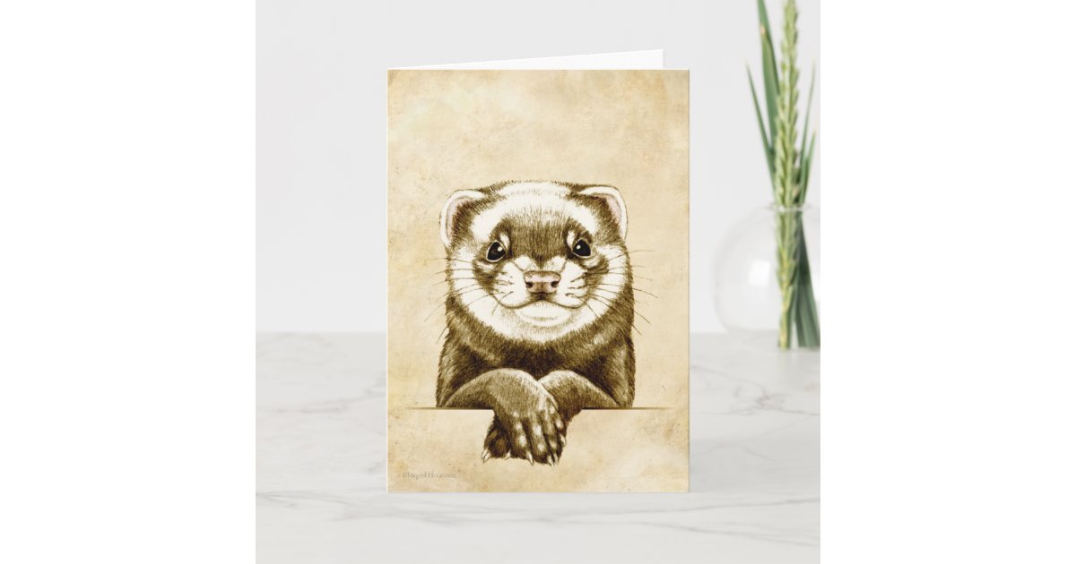 Cute Ferret Card | Zazzle
