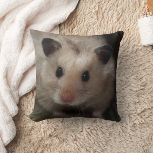 Cute Fluffy Hamster Throw Pillow | Zazzle
