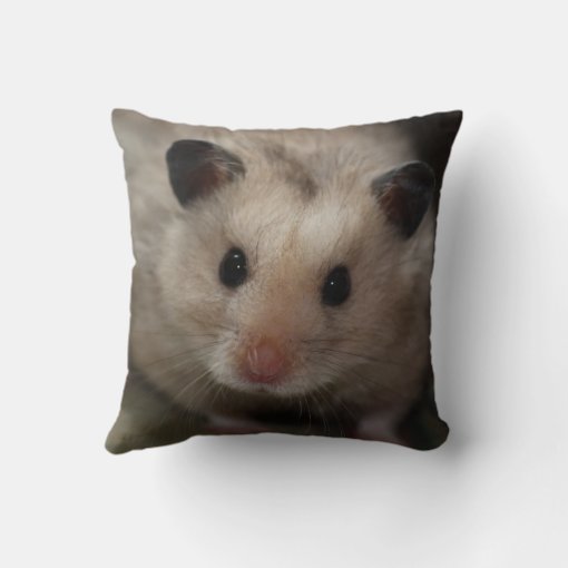 Cute Fluffy Hamster Throw Pillow | Zazzle