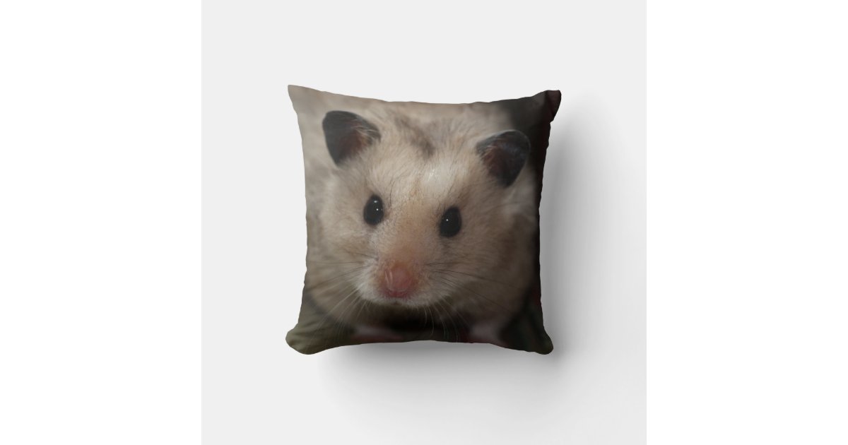 Cute Fluffy Hamster Throw Pillow | Zazzle