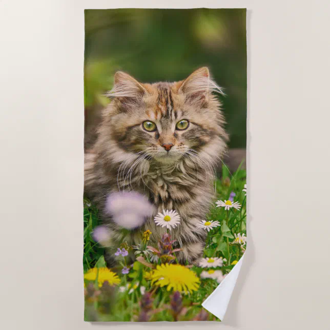 Cute Fluffy Maine Coon Kitten Cat in Flowers Photo Beach Towel | Zazzle