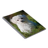Cute Fluffy White Maltese Puppy Dog Notebook | Zazzle