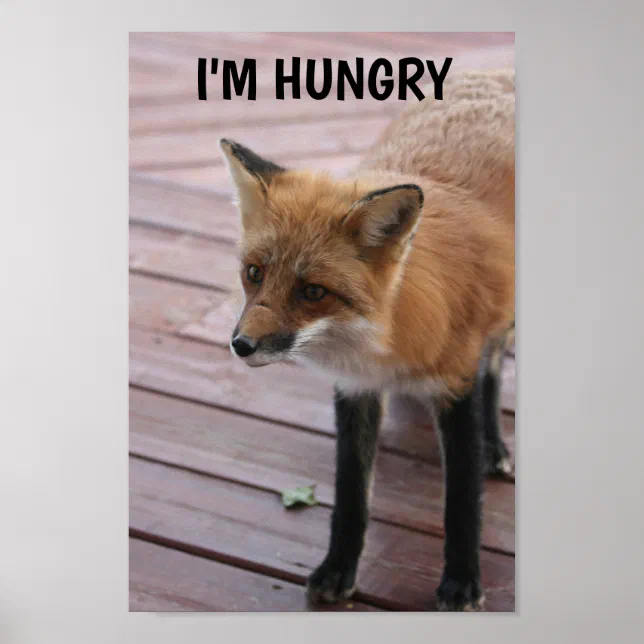 Cute Fox Photo Saying Poster | Zazzle
