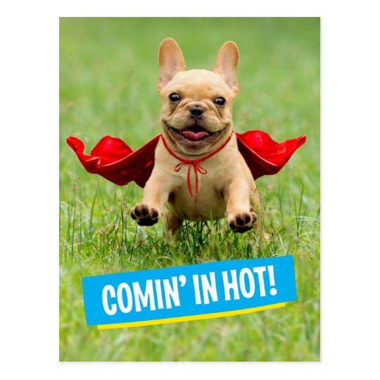 Cute French Bulldog Superhero Runs in Grass Postcard | Zazzle.com