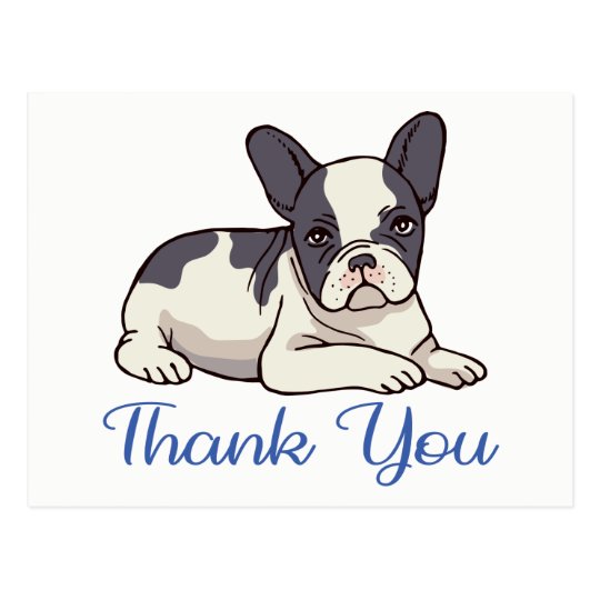 Cute French Bulldog Thank You Frenchie Puppy Dog Postcard | Zazzle.com