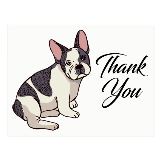 Cute French Bulldog Thank You Frenchie Puppy Dog Postcard | Zazzle.com