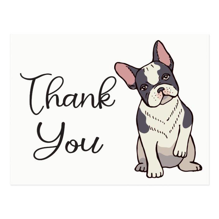 Cute French Bulldog Thank You Frenchie Puppy Dog Postcard | Zazzle.com