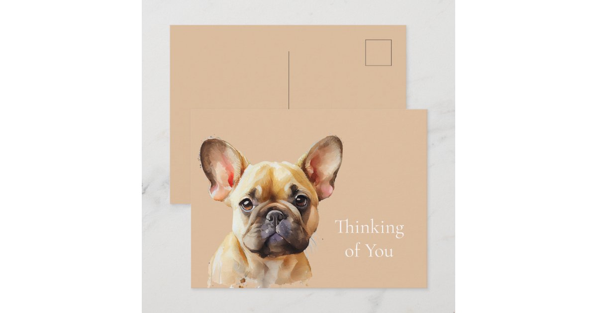 Cute Frenchie thinking of you Postcard | Zazzle