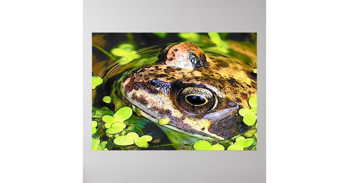 CUTE FROG POSTER | Zazzle