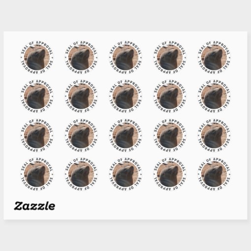Cute funny baby seal of approval sticker | Zazzle