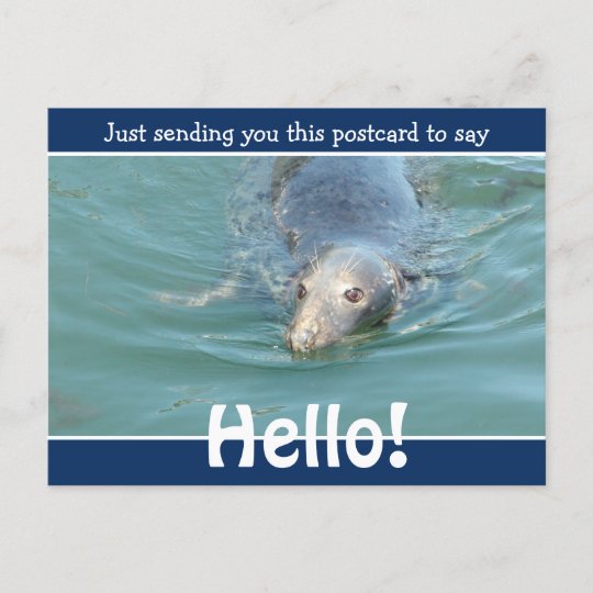 Cute Funny Seal Just saying Hello Postcard | Zazzle.com