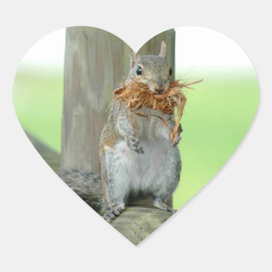 Cute Funny Squirrel Stickers | Zazzle.com