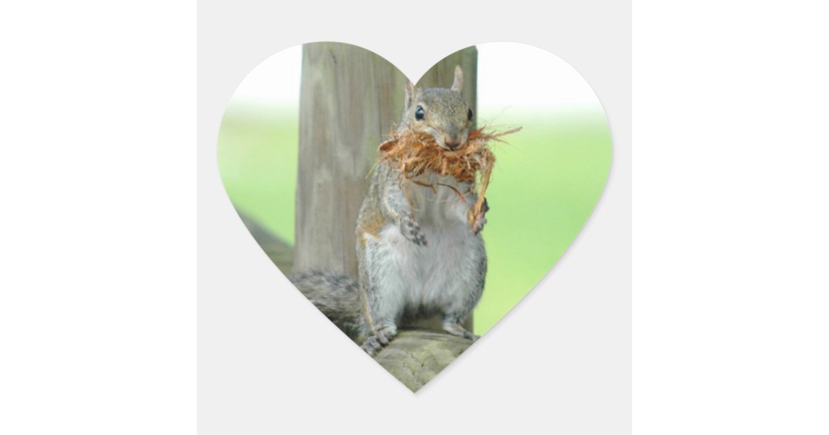 Cute Funny Squirrel Stickers | Zazzle