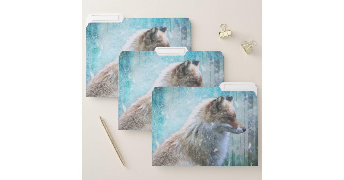 Cute Furry Fox on Blue Grunge Background File Folder | Zazzle