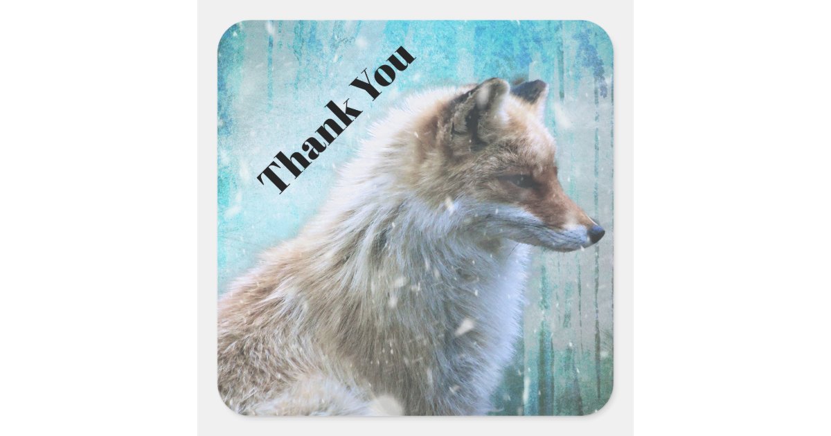 Cute Furry Fox on Blue Grunge Background Square Sticker | Zazzle