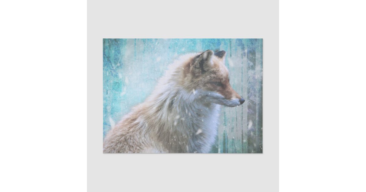 Cute Furry Fox on Blue Grunge Background Tissue Paper | Zazzle