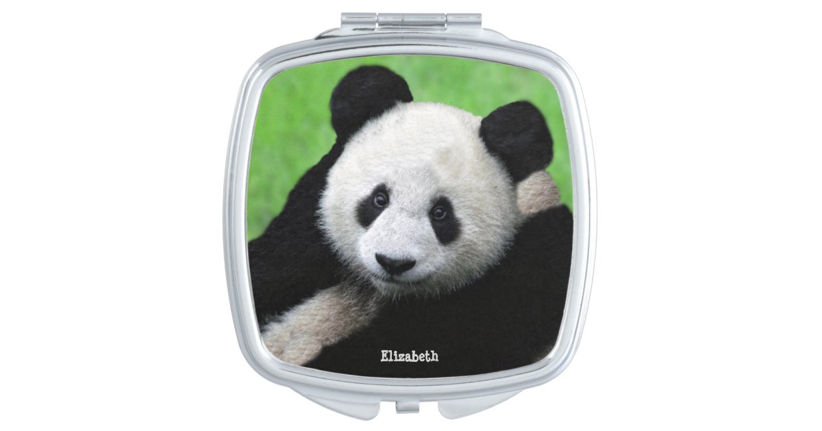 Cute Giant Panda Mirror | Zazzle