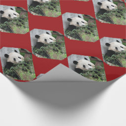 Cute Giant Panda/Pandas Red Border Christmas Wrapping Paper | Zazzle