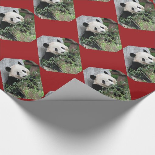 Cute Giant Panda/Pandas Red Border Christmas Wrapping Paper | Zazzle