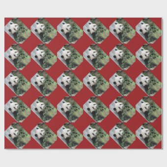 Cute Giant Panda/Pandas Red Border Christmas Wrapping Paper | Zazzle