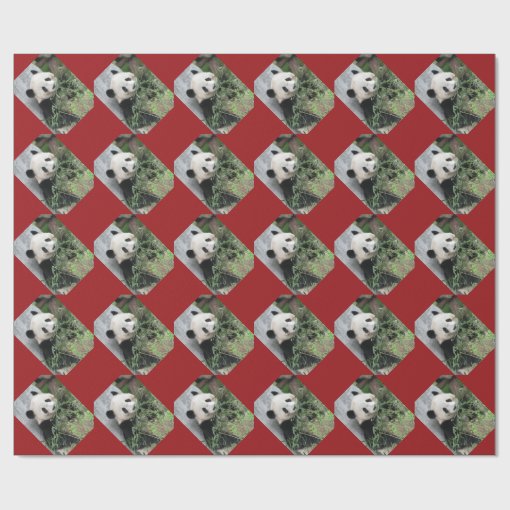 Cute Giant Panda/Pandas Red Border Christmas Wrapping Paper | Zazzle