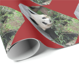 Cute Giant Panda/Pandas Red Border Christmas Wrapping Paper | Zazzle