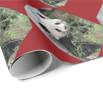 Cute Giant Panda/Pandas Red Border Christmas Wrapping Paper | Zazzle