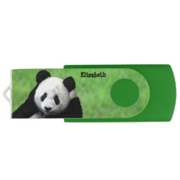 Cute Giant Panda USB Flash USB Flash Drive | Zazzle