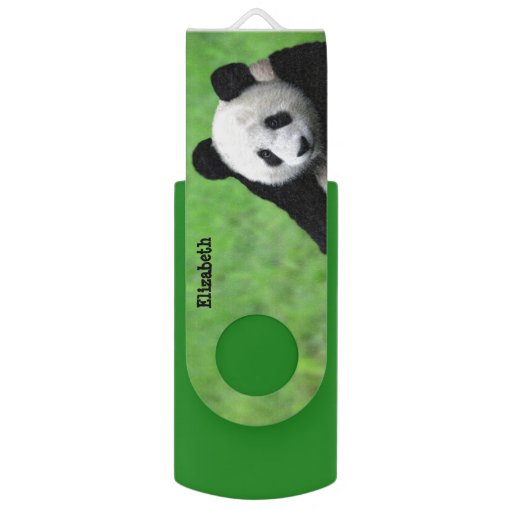 Cute Giant Panda USB Flash USB Flash Drive | Zazzle