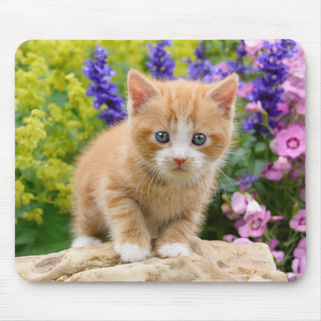 Cute Ginger Cat Kitten in Flowery Garden Portrait Mouse Pad | Zazzle