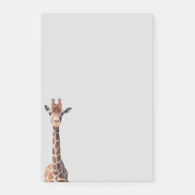 Cute giraffe face post-it notes | Zazzle