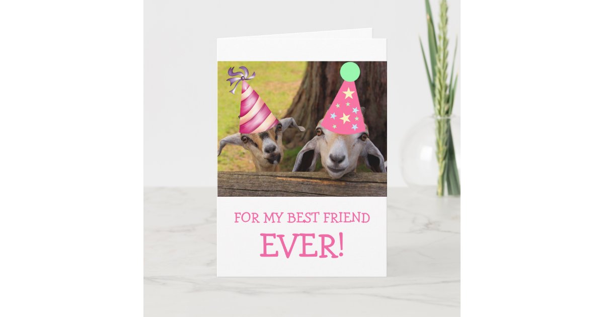 Cute Goat Best Friend Birthday Card | Zazzle